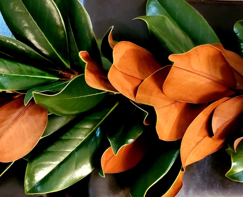 Fresh Southern Magnolia Garland – Holiday Decor, Weddings, Centerpieces ...