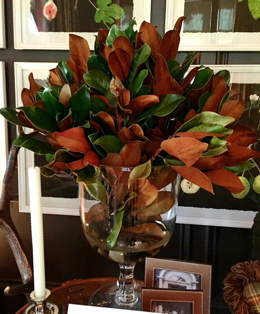Fresh Southern Magnolia Branches - Extra Long Stems, Weddings & Vases ...