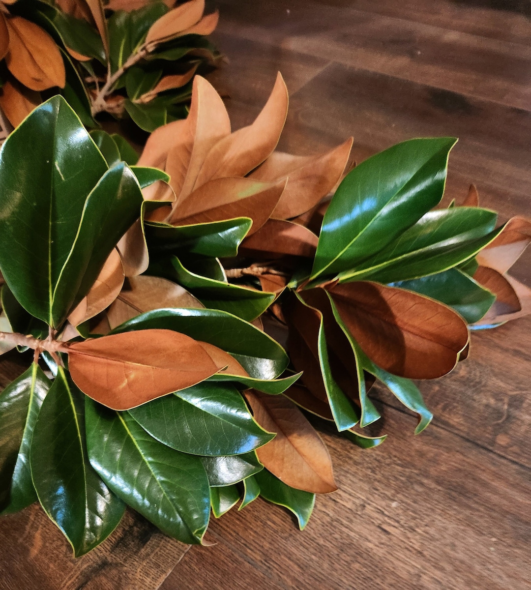 Fresh Southern Magnolia Leaves - Sale! 20% FREE, Hand-picked, Home ...