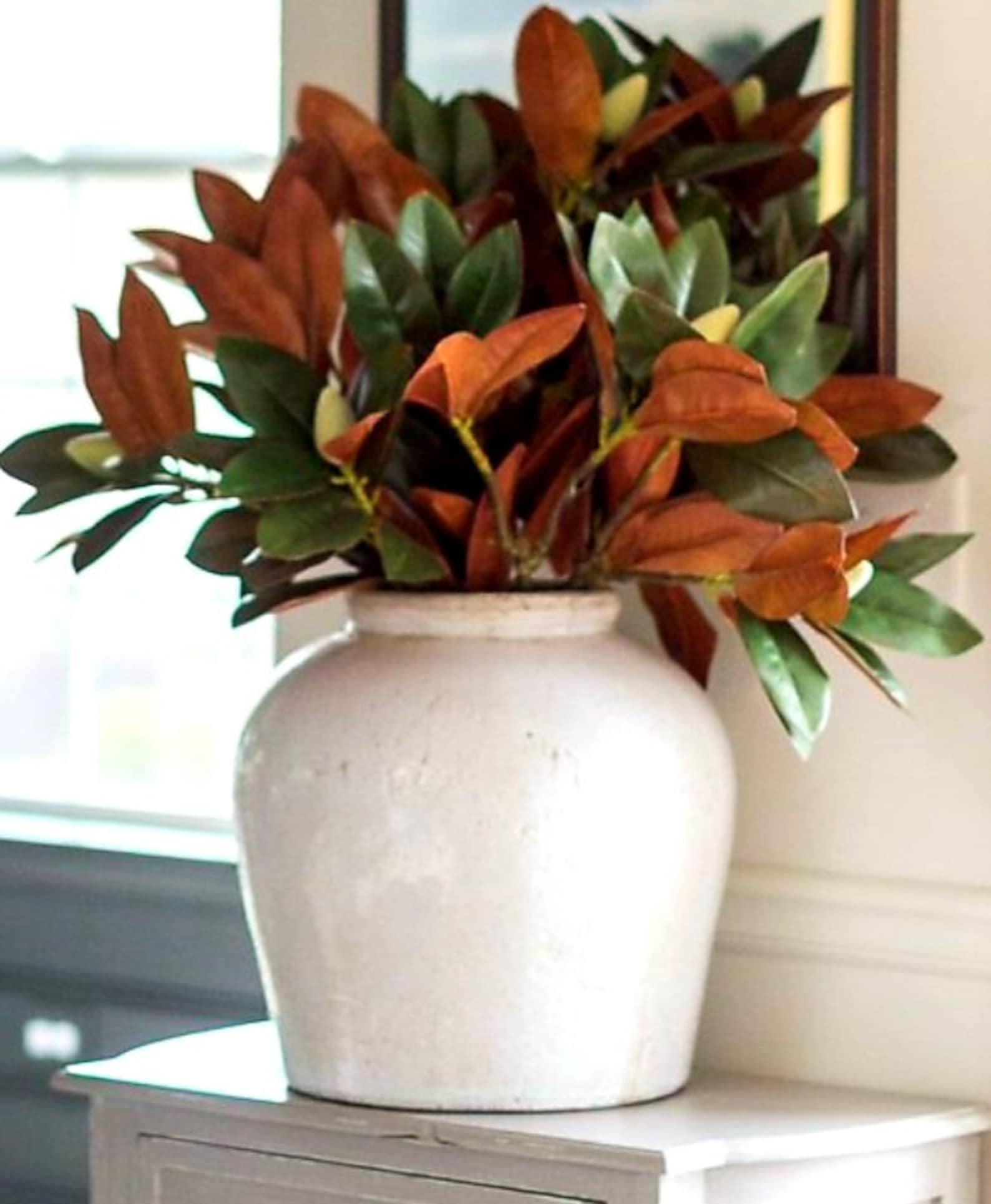 Fresh Southern Magnolia Branches - Extra Long Stems, Weddings & Vases ...