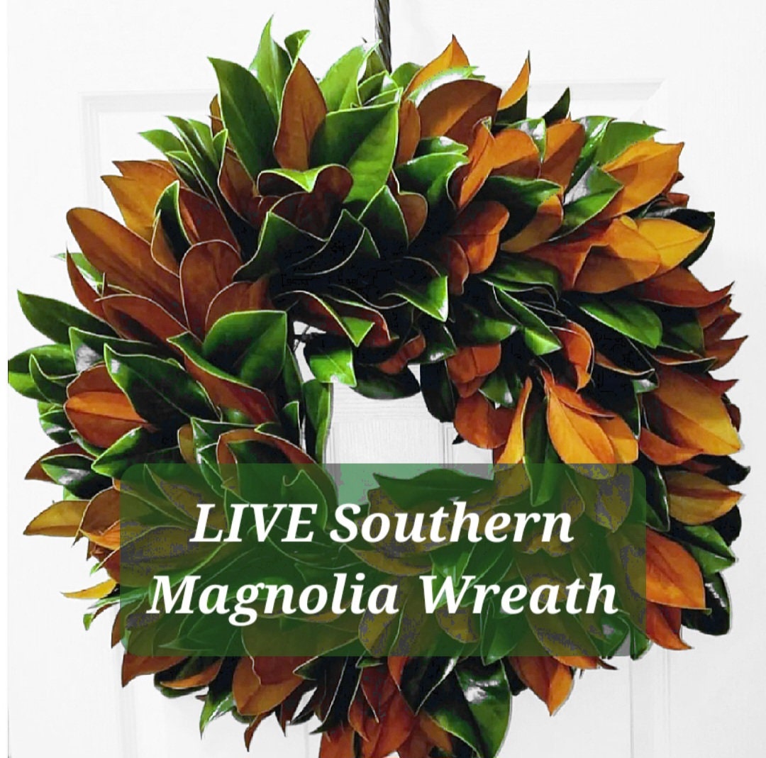 Fresh Southern Magnolia Wreath – Handmade Holiday Decor, Farmhouse ...