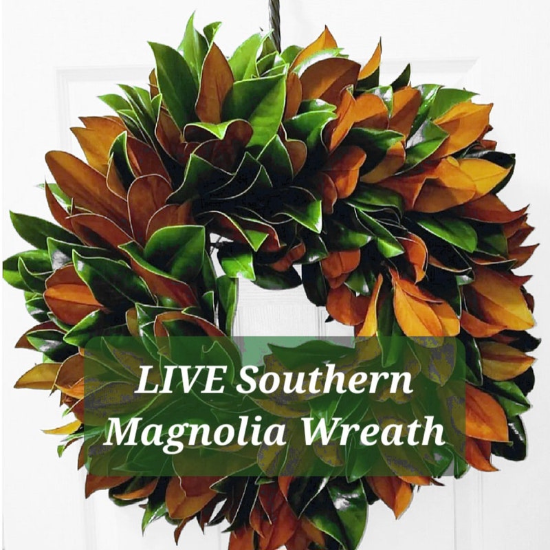 18 Inch Holiday Wreath - Etsy