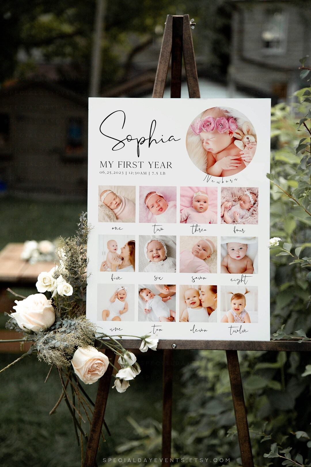 Photo Milestone Birthday Sign, 1st Birthday Milestone Sign, Milestone ...