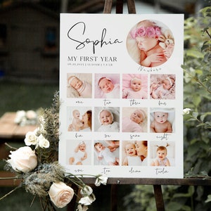 Photo Milestone Birthday Sign, 1st Birthday Milestone Sign, Milestone ...