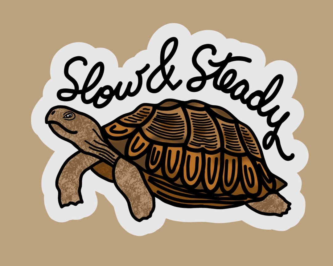 SLOW AND STEADY Wins the Race Tortoise and the Hare Perseverance Keep ...
