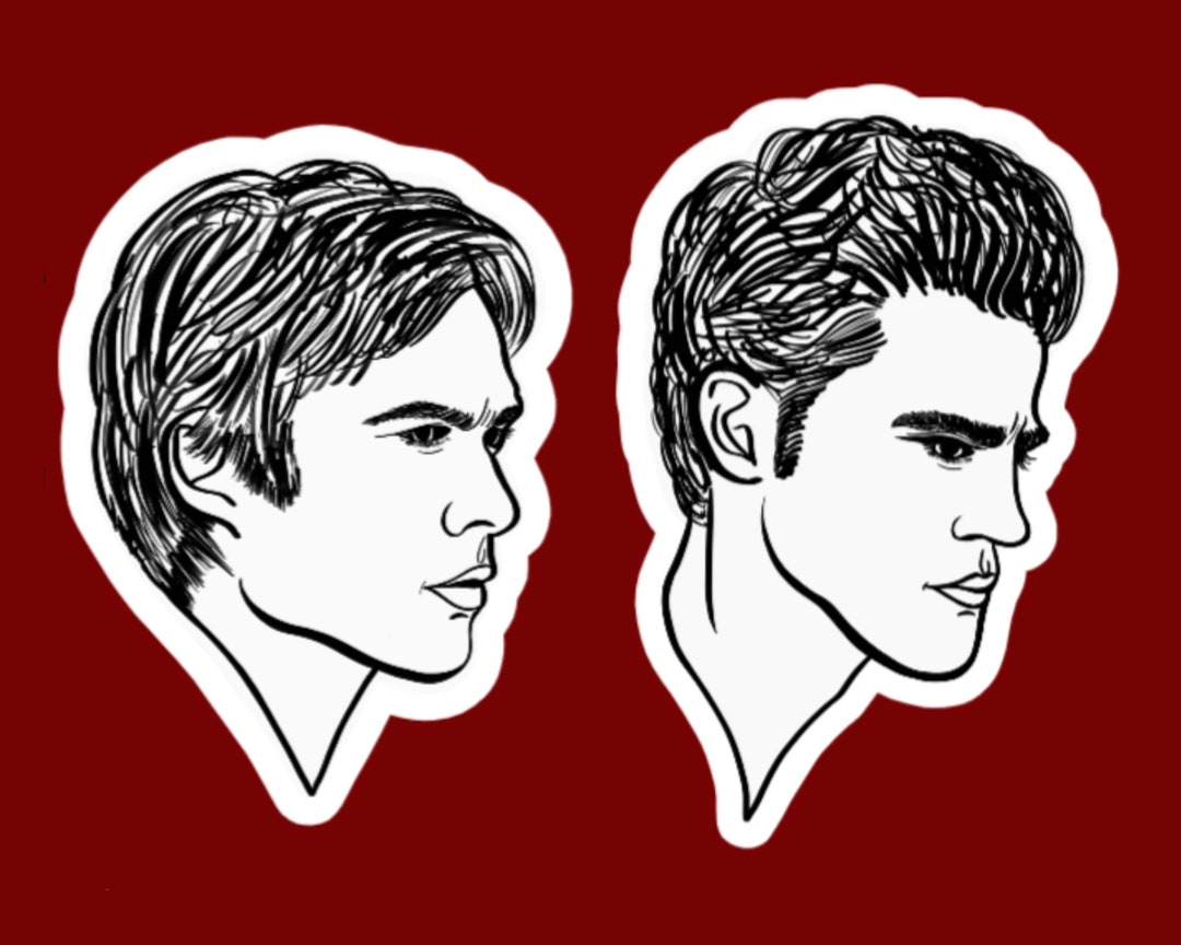 DAMON and STEFAN Salvatore the Vampire Diaries Brothers TVD Delena ...