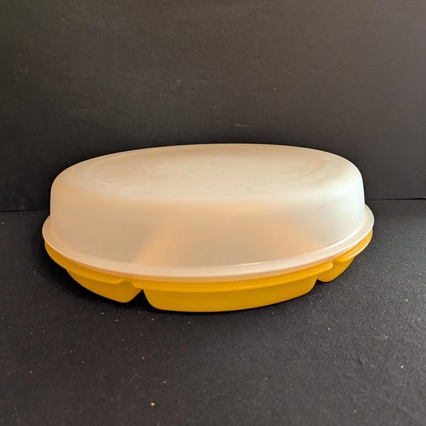 Party Susan Tupperware - Etsy