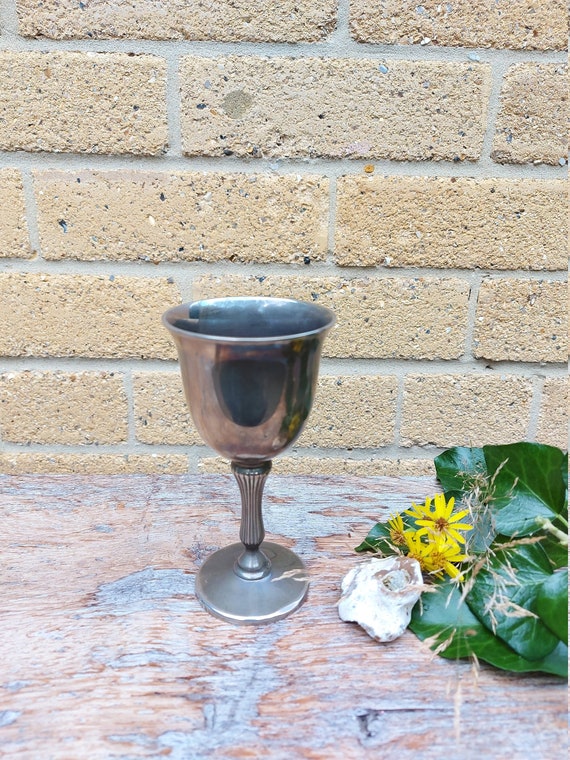 Vintage Grenadier Silver Plated Goblet / Chalice Witchcraft - Etsy UK