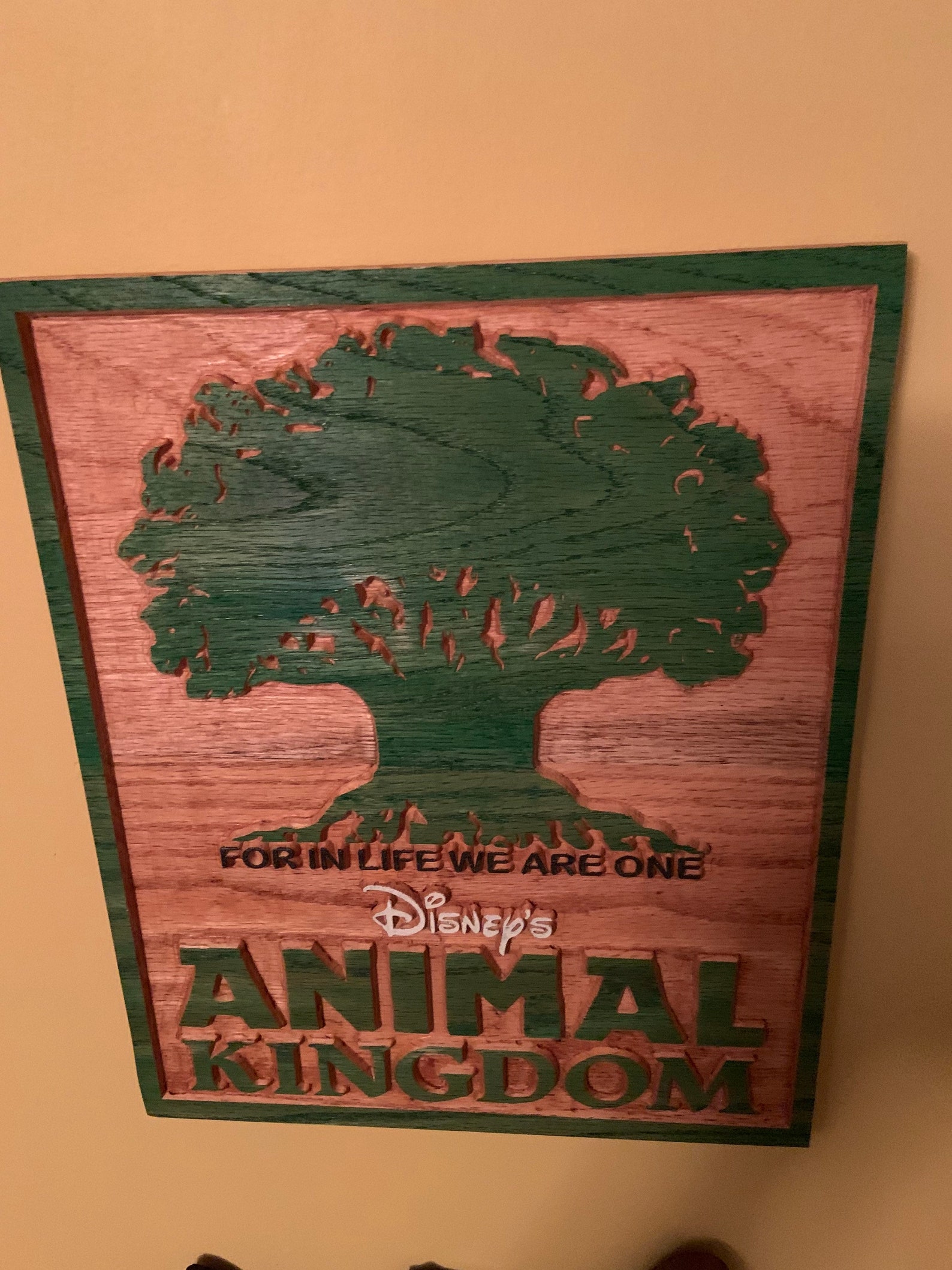 Animal Kingdom sign | Etsy