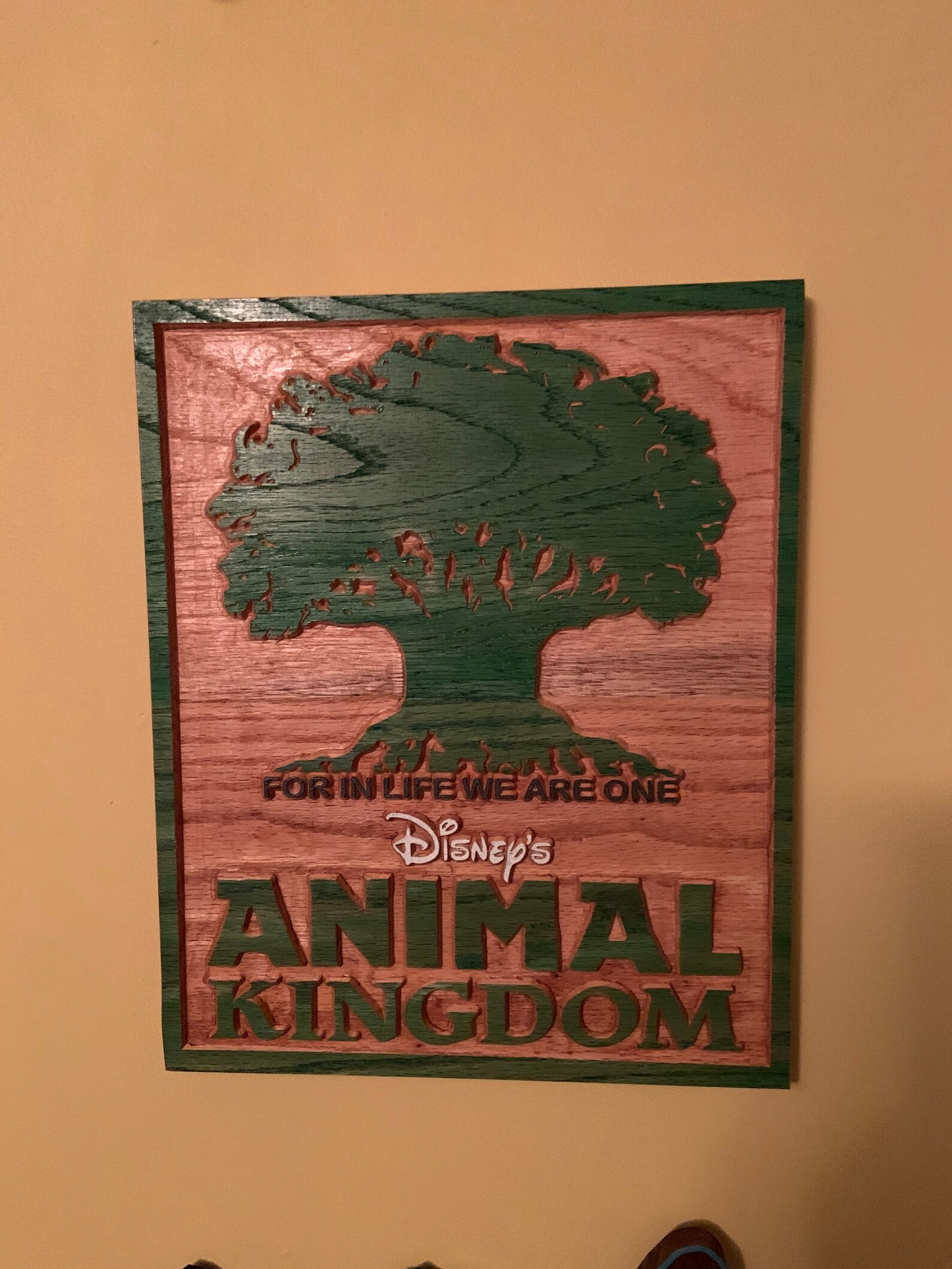 Animal Kingdom sign | Etsy