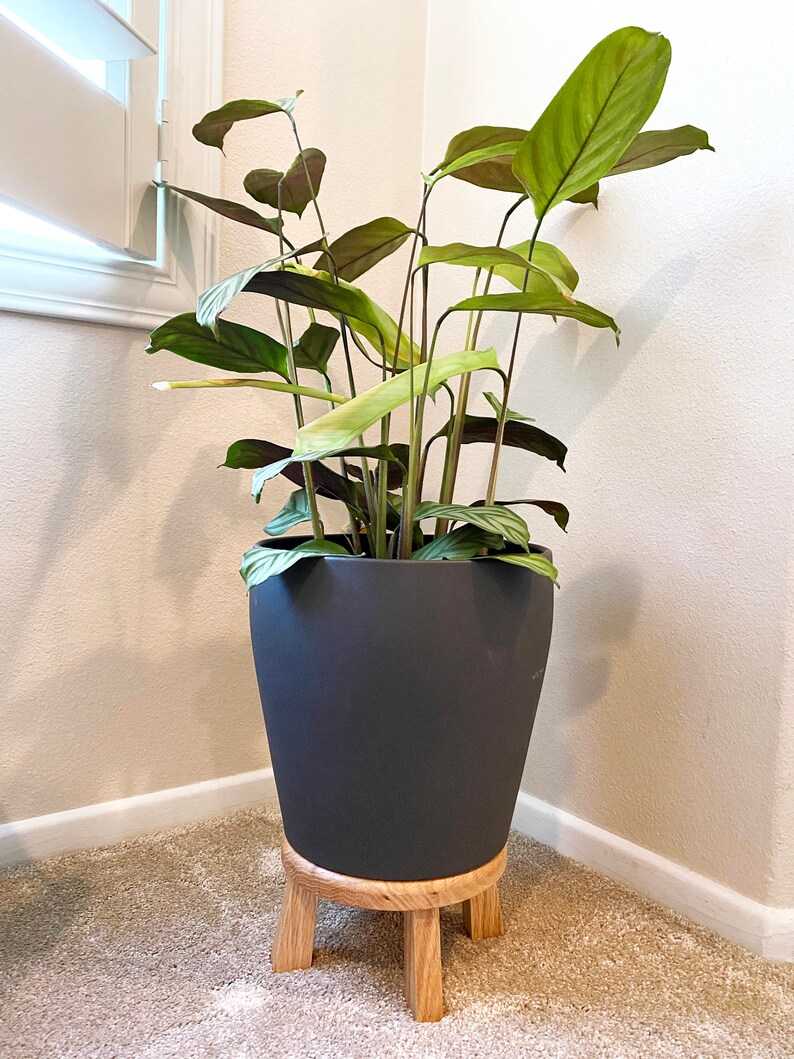 Solid Round Oak Wood Plant Stand Display Stand Mini Stool - Etsy