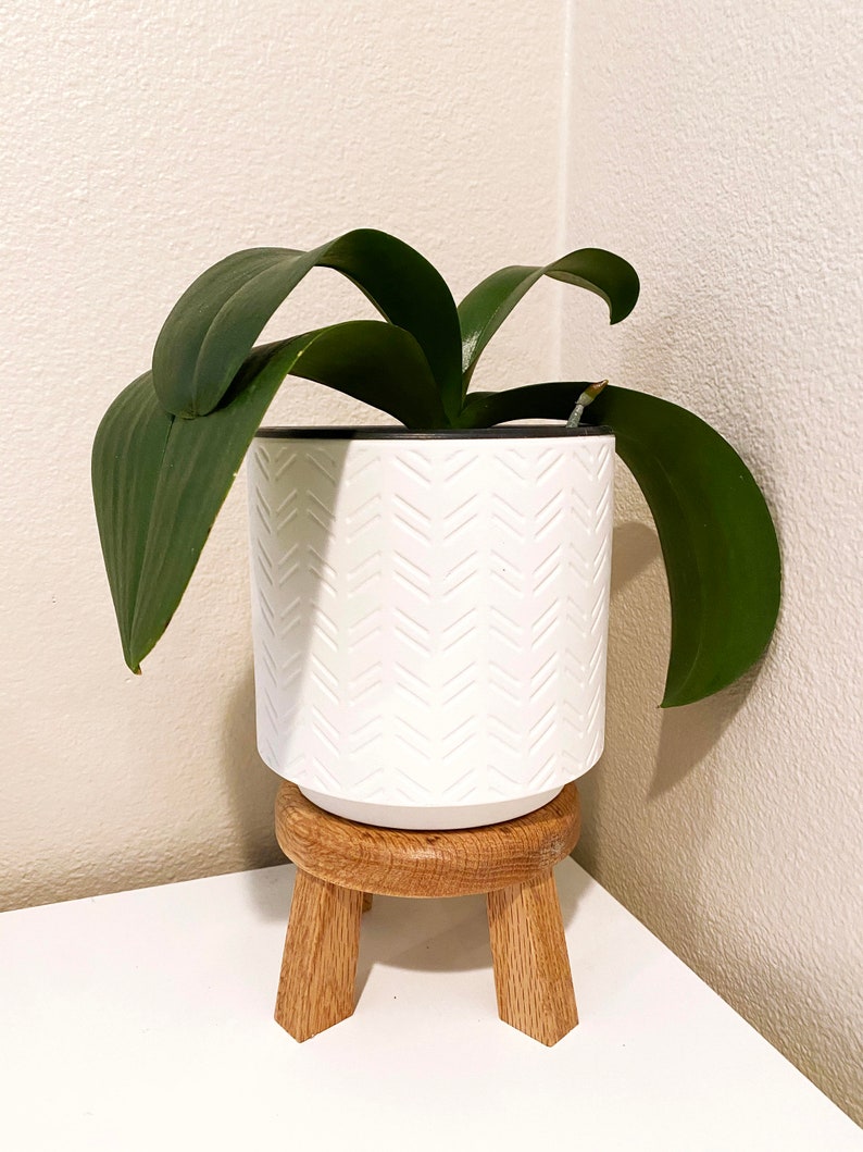 Solid Round Oak Wood Plant Stand Display Stand Mini Stool - Etsy