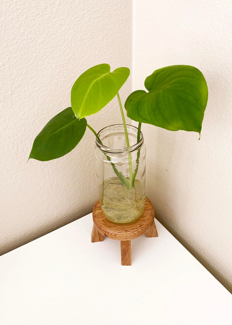 Solid Round Oak Wood Plant Stand Display Stand Mini Stool - Etsy