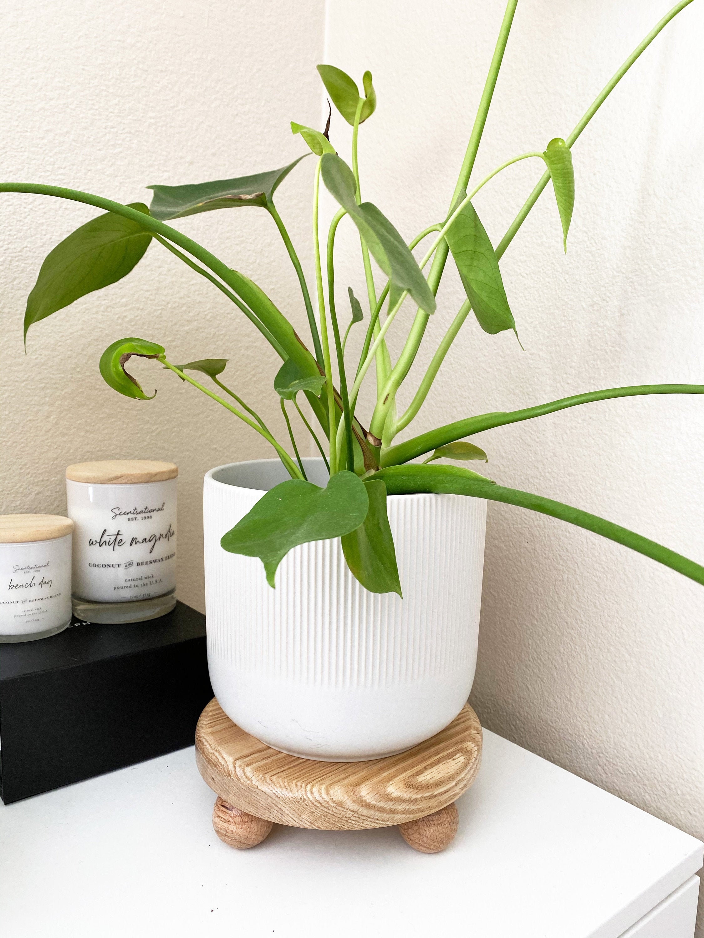 Solid Round Oak Wood Plant Stand Display Stand Mini Stool | Etsy
