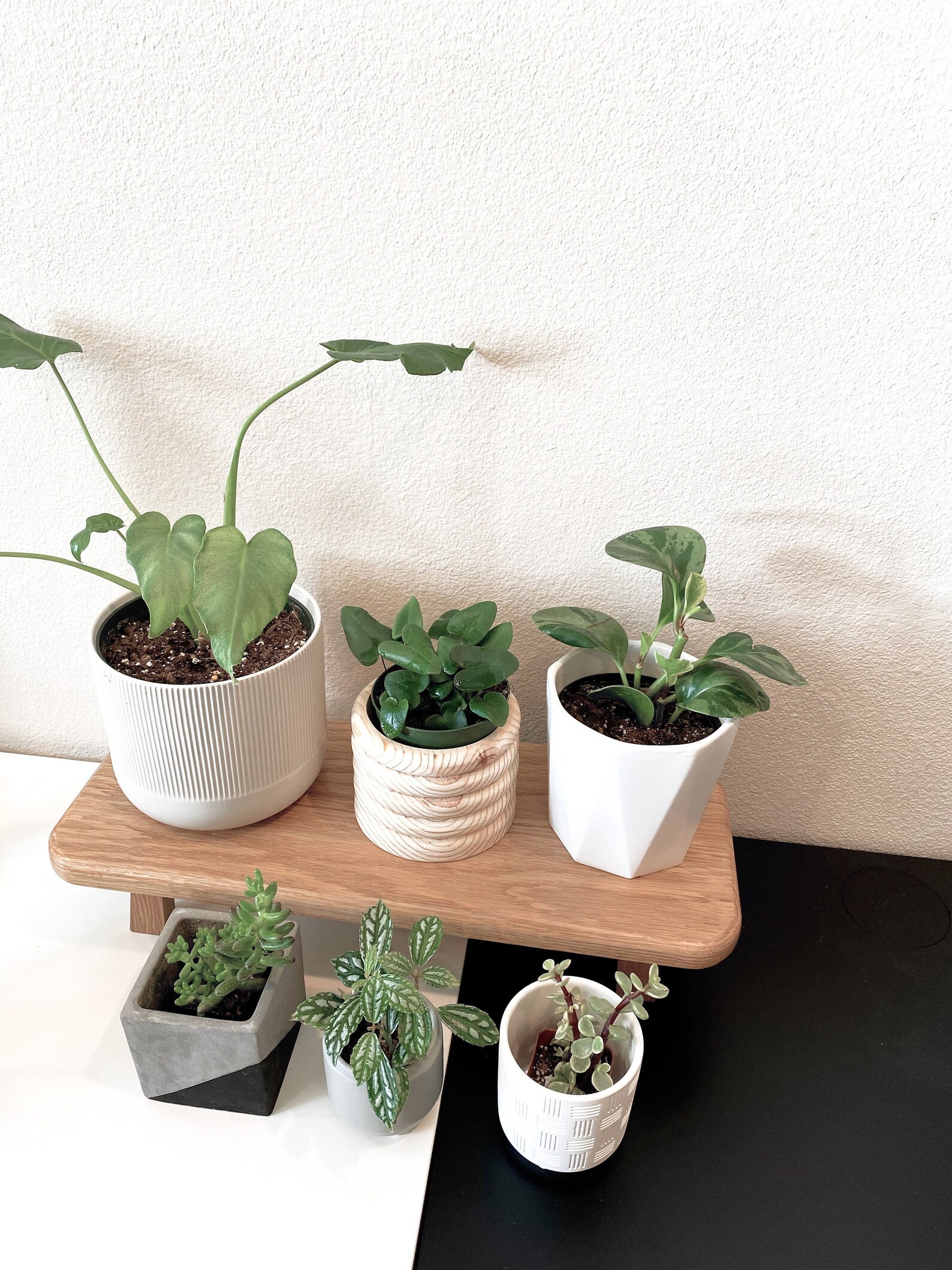 Indoor Solid Wood Plant Stand Plant Bench Plant Stool in - Etsy