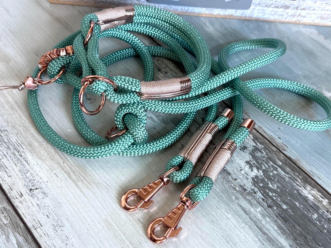 Elegant Set – Rope Leash & Choke Collar With Rose Gold and Name Chain ...