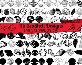 Shell Svg - Etsy
