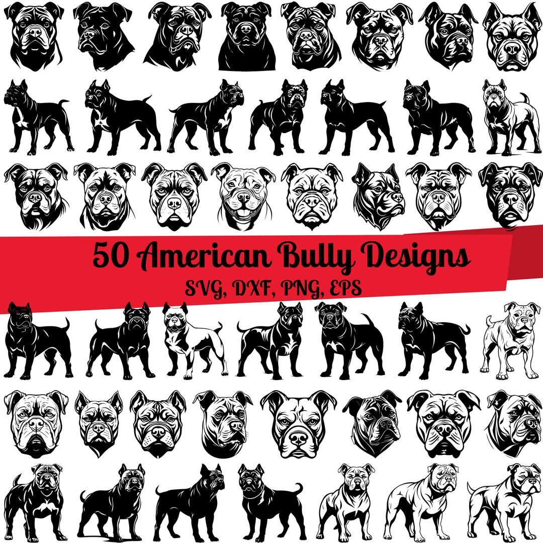 50 American Bully SVG Bundle Bully Dog Svg American Bully - Etsy Australia