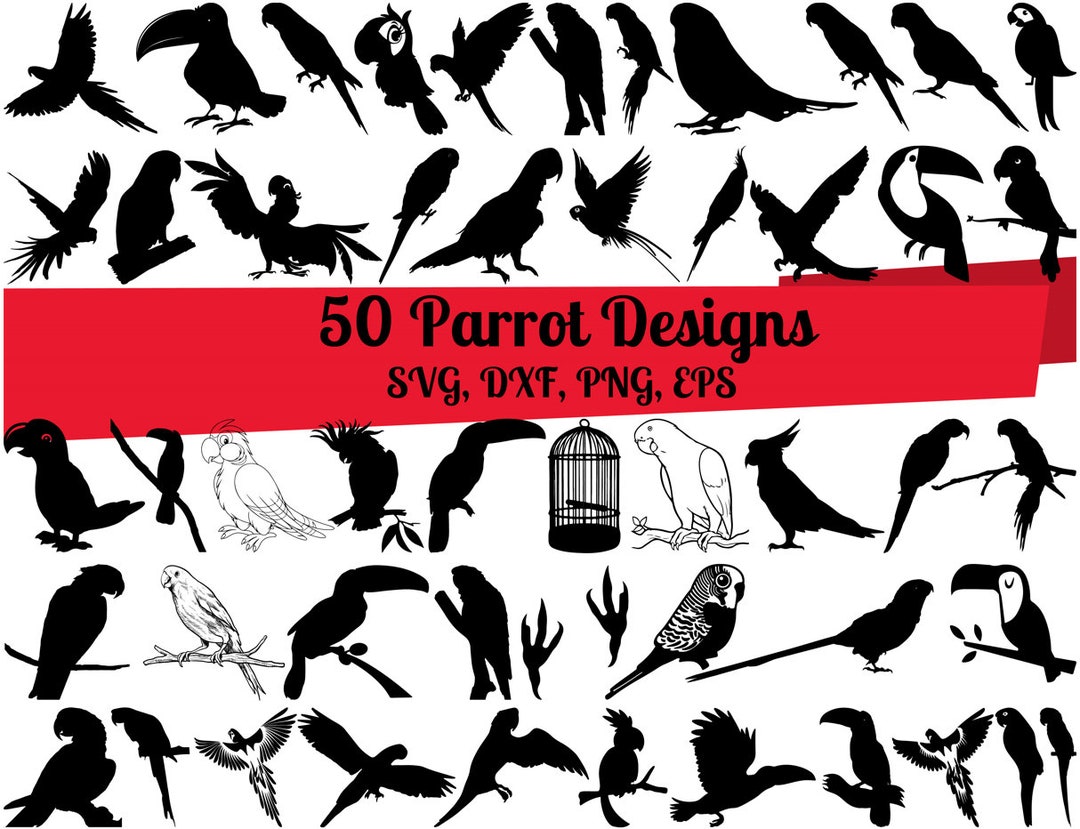 50 Parrot SVG Bundle, Parrot Dxf, Parrot Png, Parrot Eps, Parrot Vector ...