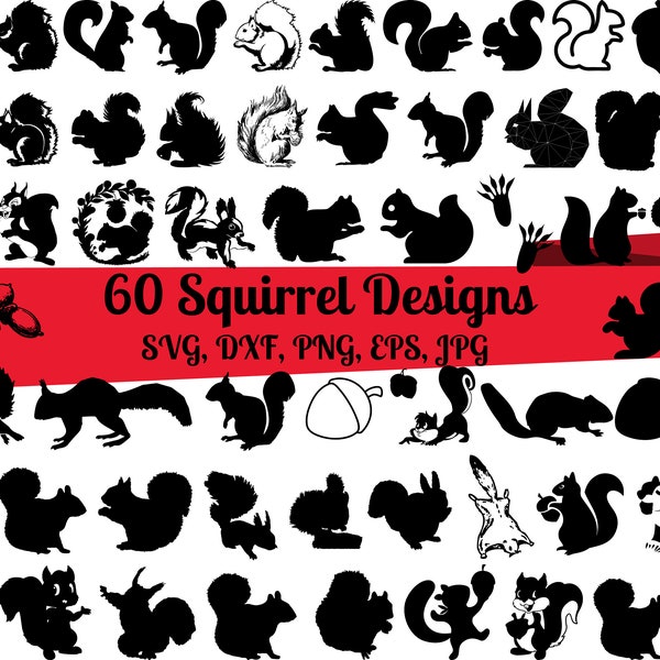 Squirrel Svg - Etsy