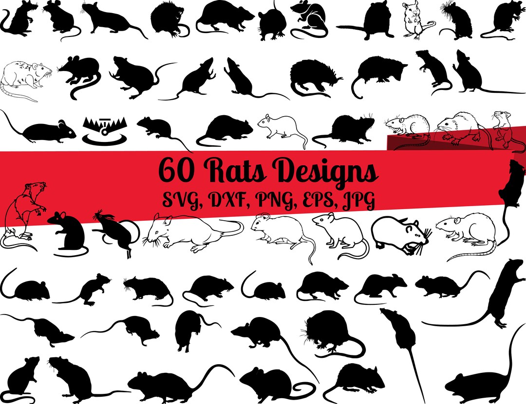 26 Rat SVG Bundle, Rats Svg, Rat Dxf, Rat Png, Rat Eps, Rat Vector, Rat ...