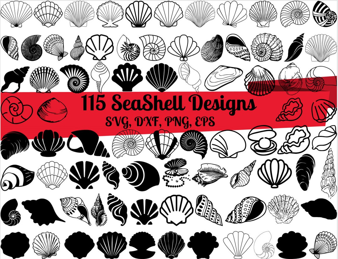 115 Seashell SVG Bundle Sea Shell svg Seashell dxf Seashell - Etsy España