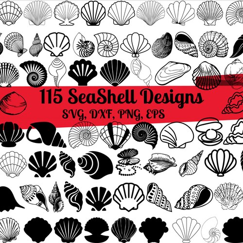 Sea Shells Background Cut File svg Dxf Png Eps for - Etsy