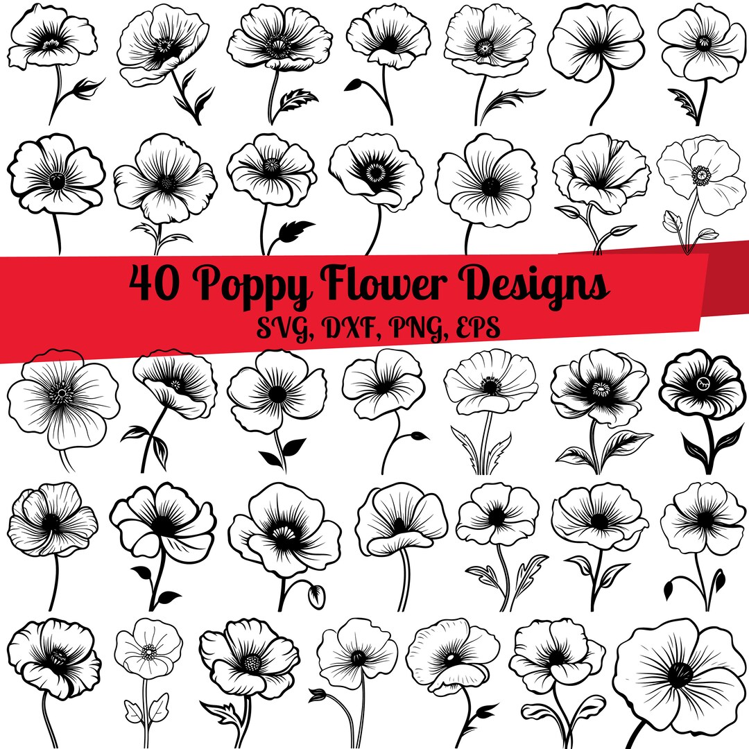 40 Poppy Flower SVG Bundle, Poppy Line Art, Poppy Dxf, Poppy Png, Poppy ...