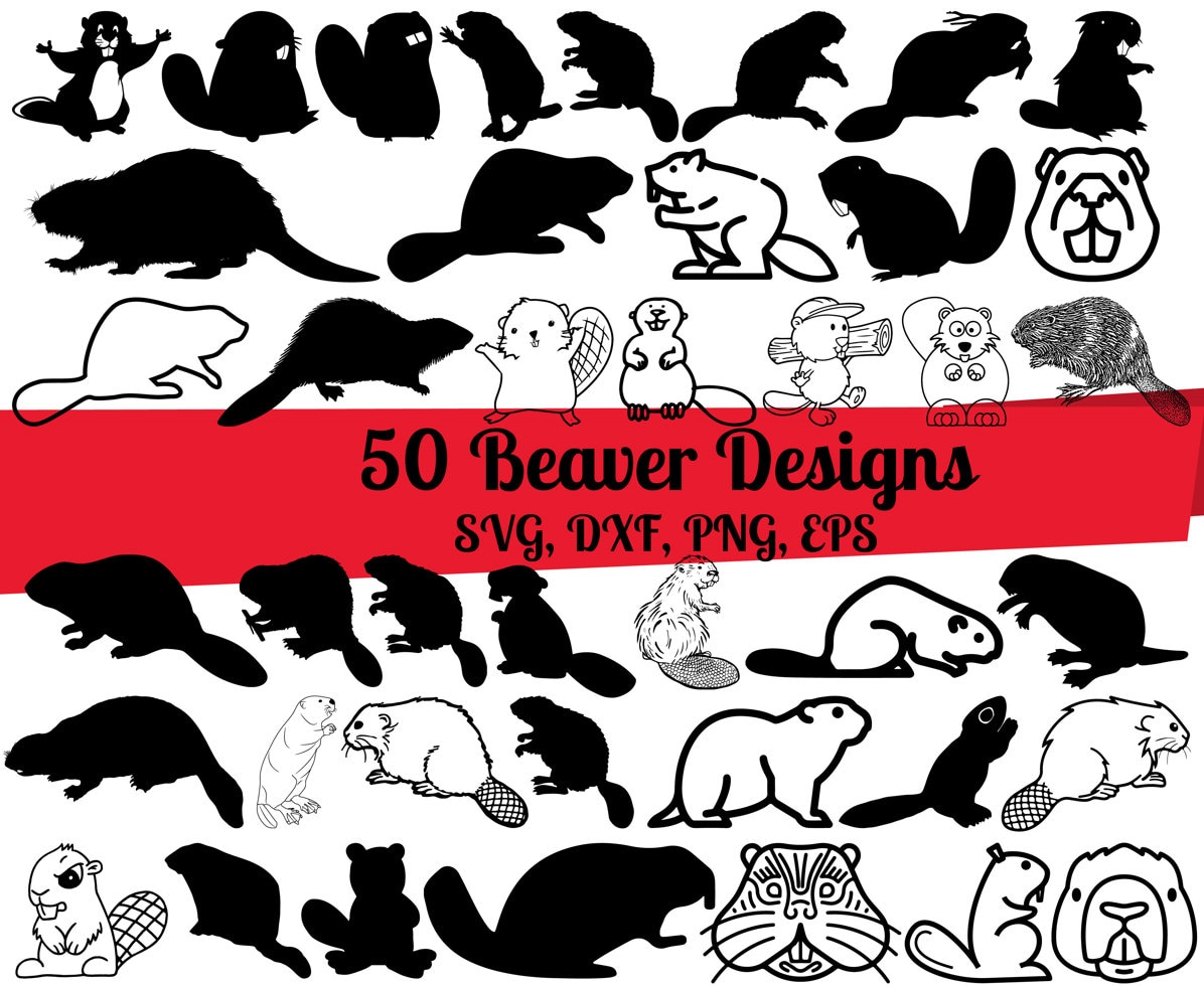 50 Biber SVG Bundle, Biber dxf, Biber png, Biber eps, Biber Vektor, Biber Plotterdatei, Biber ...