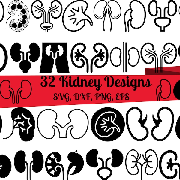 Kidney Disease Svg - Etsy