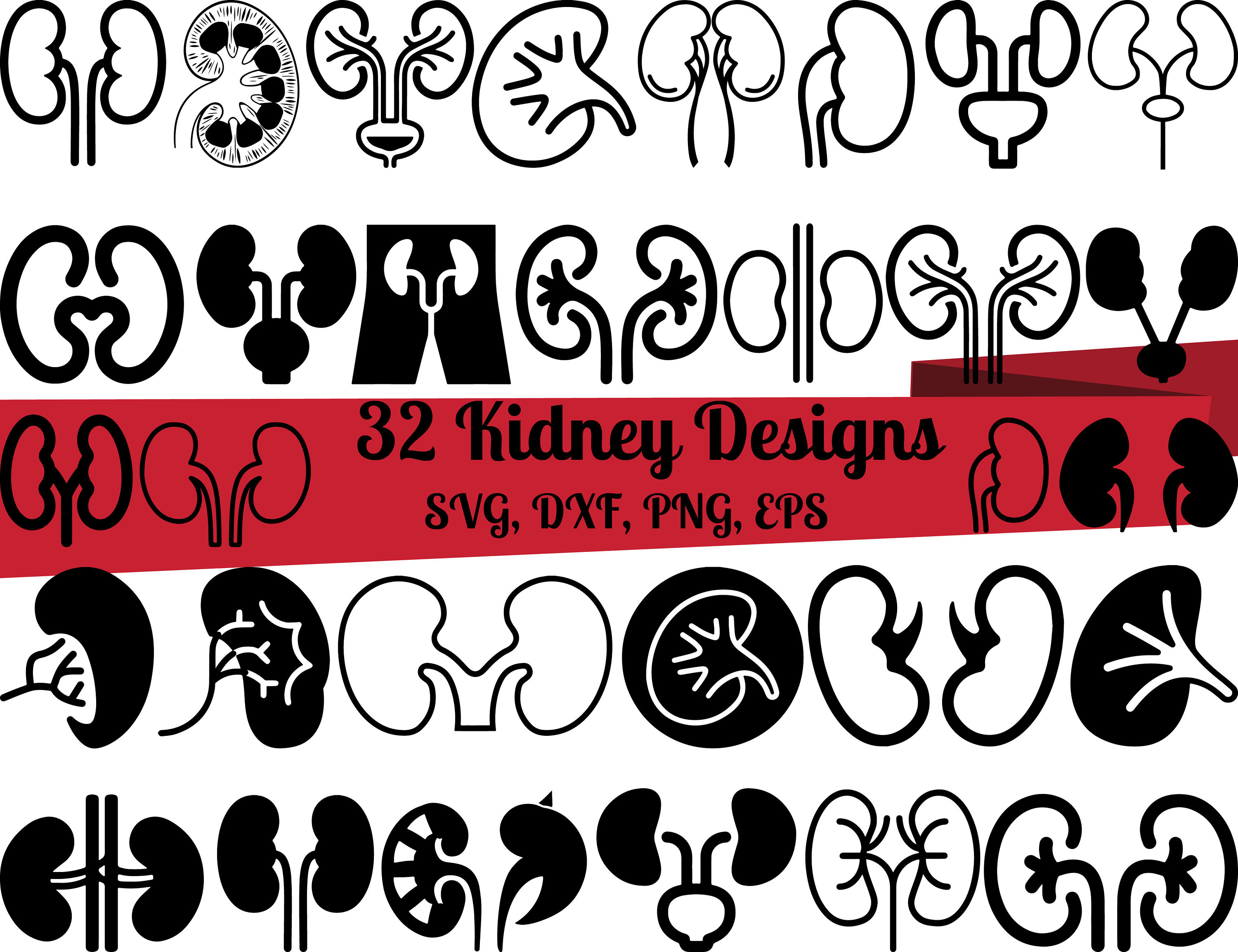 32 Kidney SVG Bundle Kidney Dxf Kidney Png Kidney Eps - Etsy Finland