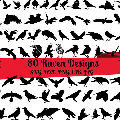 Vector BIRD Raven AI Eps Pdf Png Svg Dxf Jpg Files - Etsy