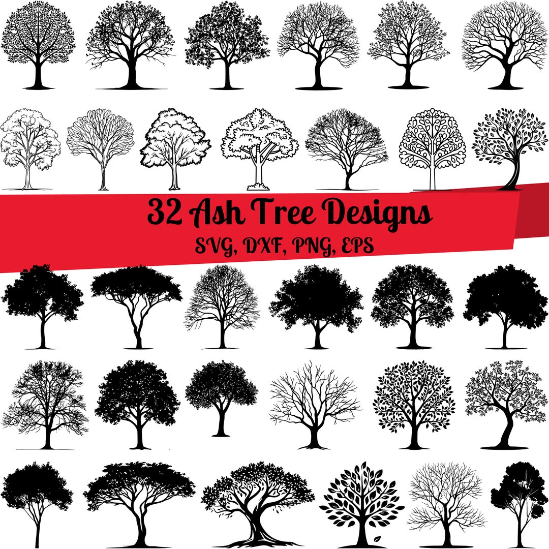 32 Ash Tree SVG Bundle, Ash Tree Dxf, Ash Tree Png, Ash Tree Vector ...