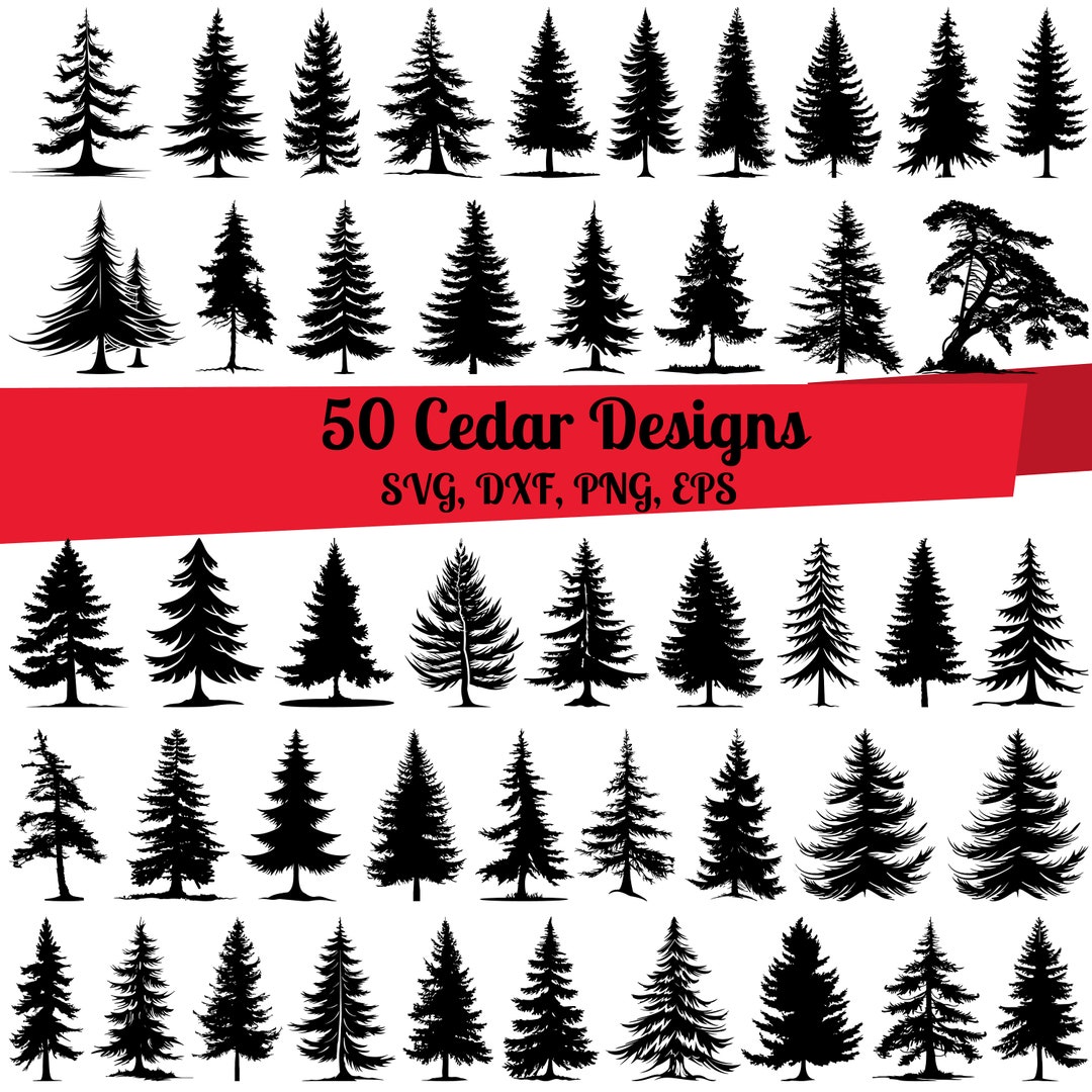 50 Cedar SVG Bundle, Cedar Tree Svg, Cedar Dxf, Cedar Png, Cedar Vector ...