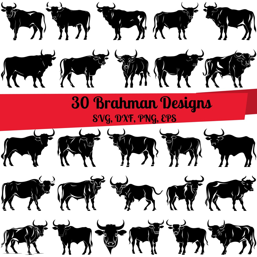 30 Brahman SVG Bundle, Brahman Dxf, Brahman Png, Brahman Vector ...