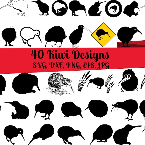 Kiwi Bird - Etsy