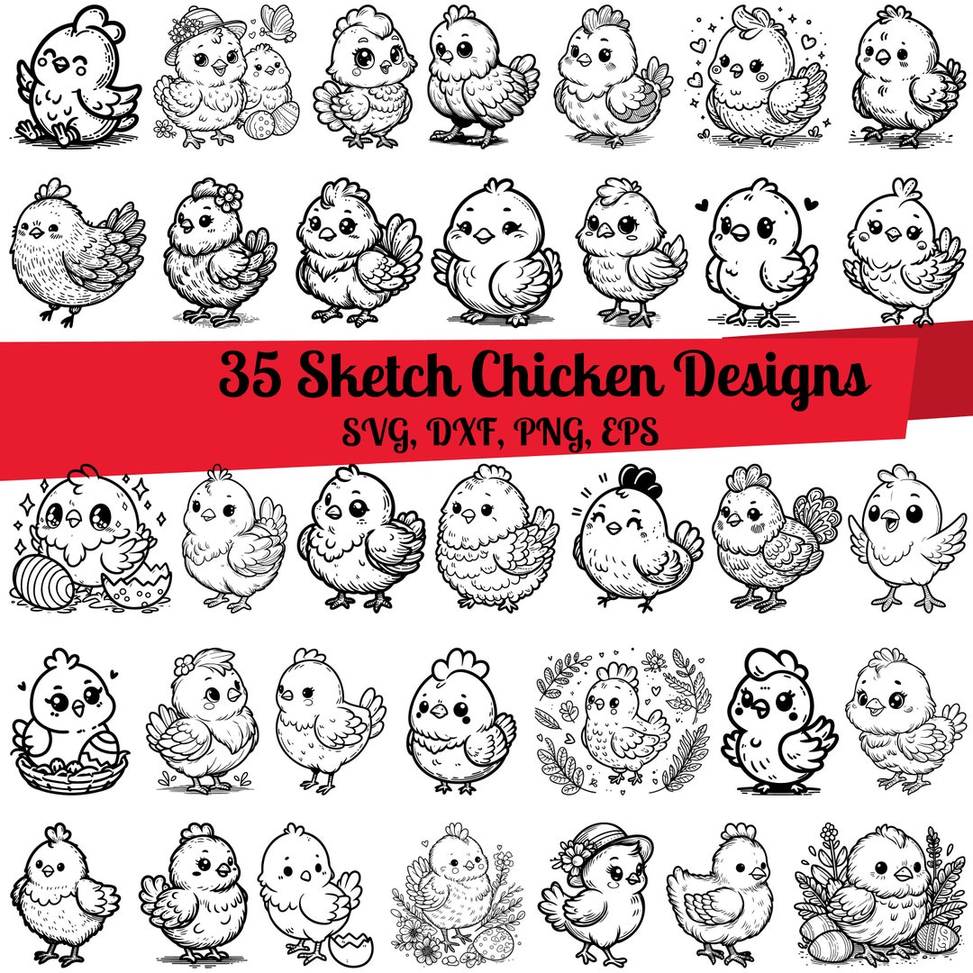 35 Sketch Chicken SVG Bundle, Floral Chicken Svg, Chicken Line Art ...