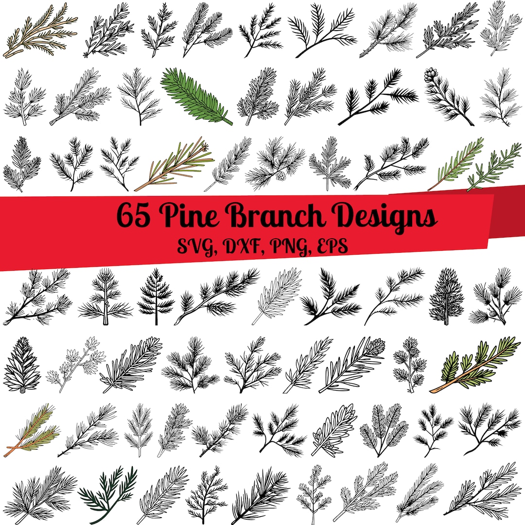 65 Pine Branch SVG Bundle, Spruce Tree Svg,pine Needles Svg, Pine ...