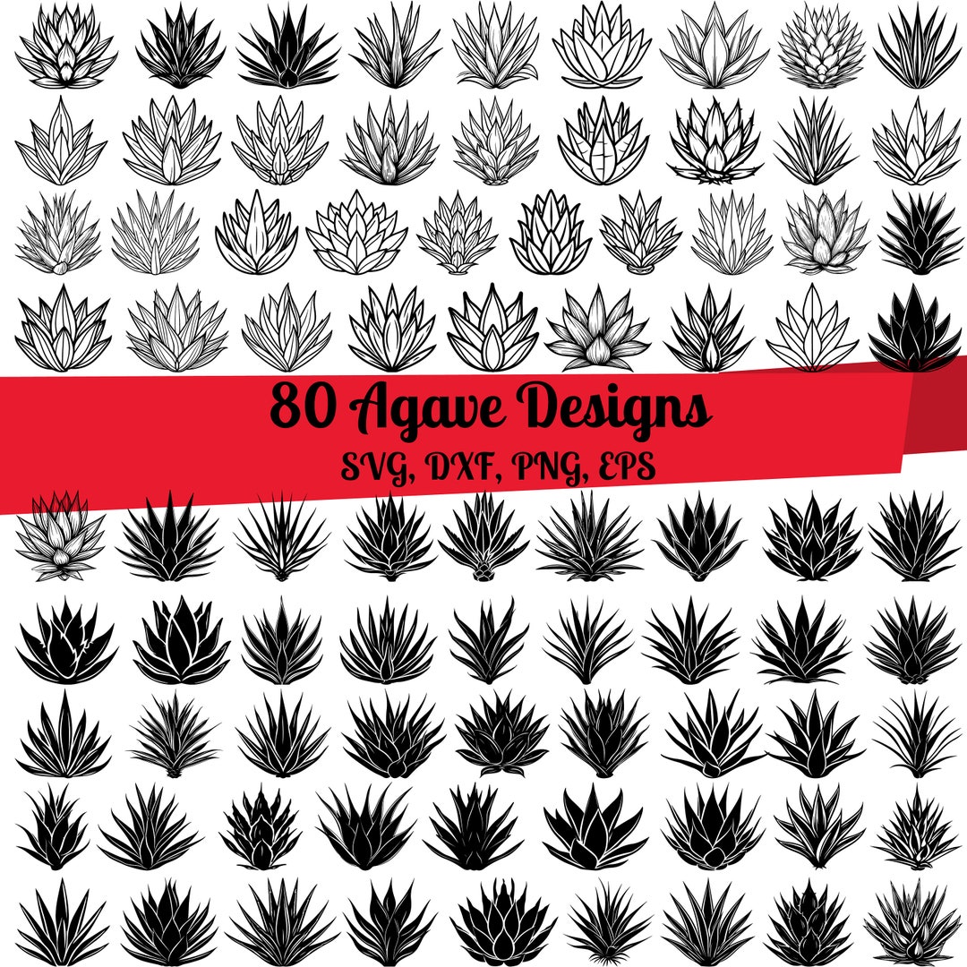 80 Agave SVG Bundle, Agave Dxf, Agave Png, Agave Vector, Agave Outline ...