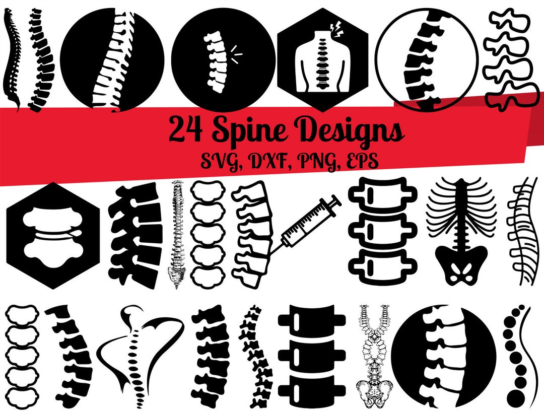 24 Spine SVG Bundle, Anatomy Spine svg, Human Spine svg, Physiotherapy svg, Spinal Cord svg ...