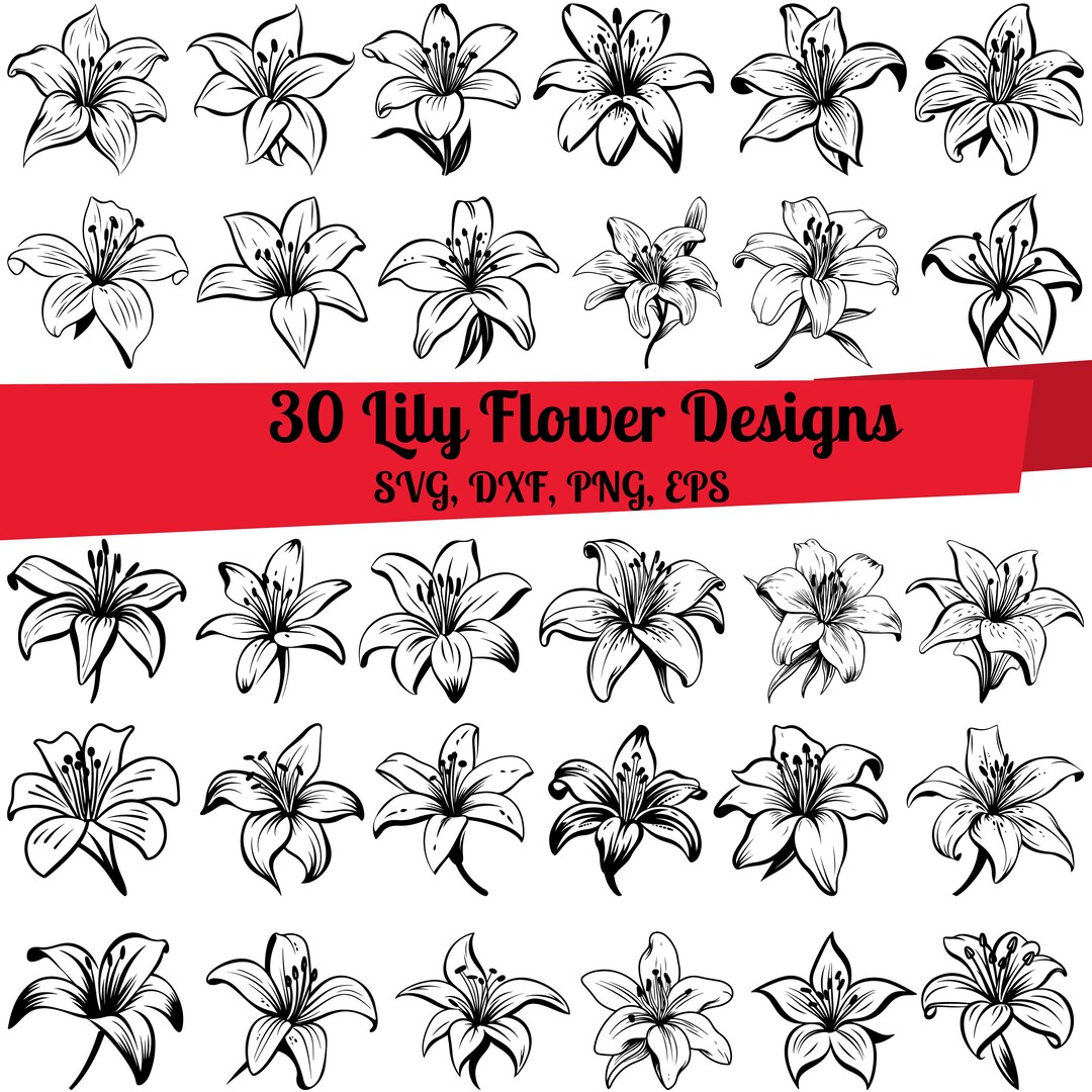 30 Lily Flower SVG Bundle, Lilies Svg, Lily Flower Dxf, Lily Flower Png ...