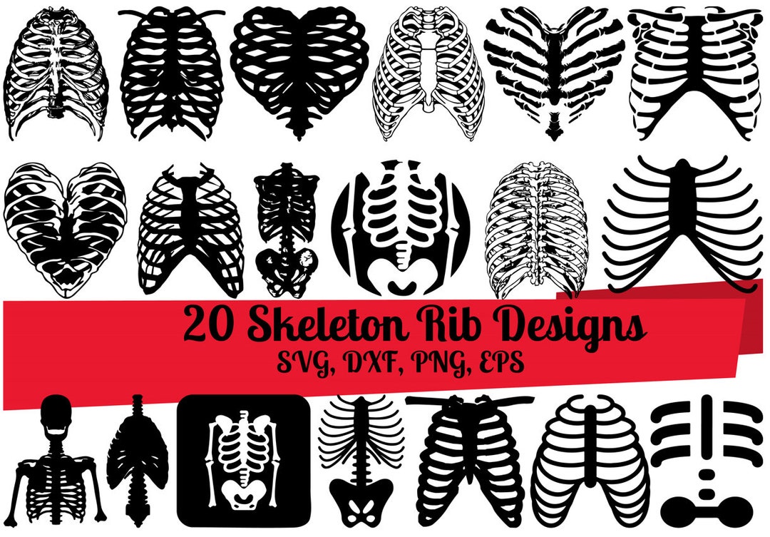 20 Skeleton Rib SVG Bundle, Skeleton Rib dxf, Skeleton Rib png ...