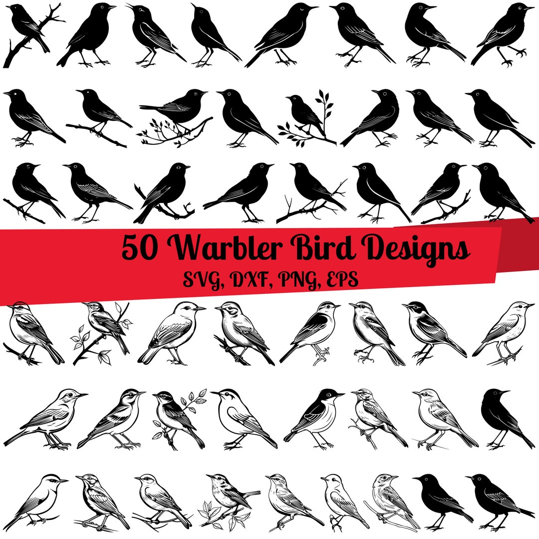 50 Warbler Bird SVG Bundle, Warbler Bird dxf, Warbler Bird png, Warbler ...