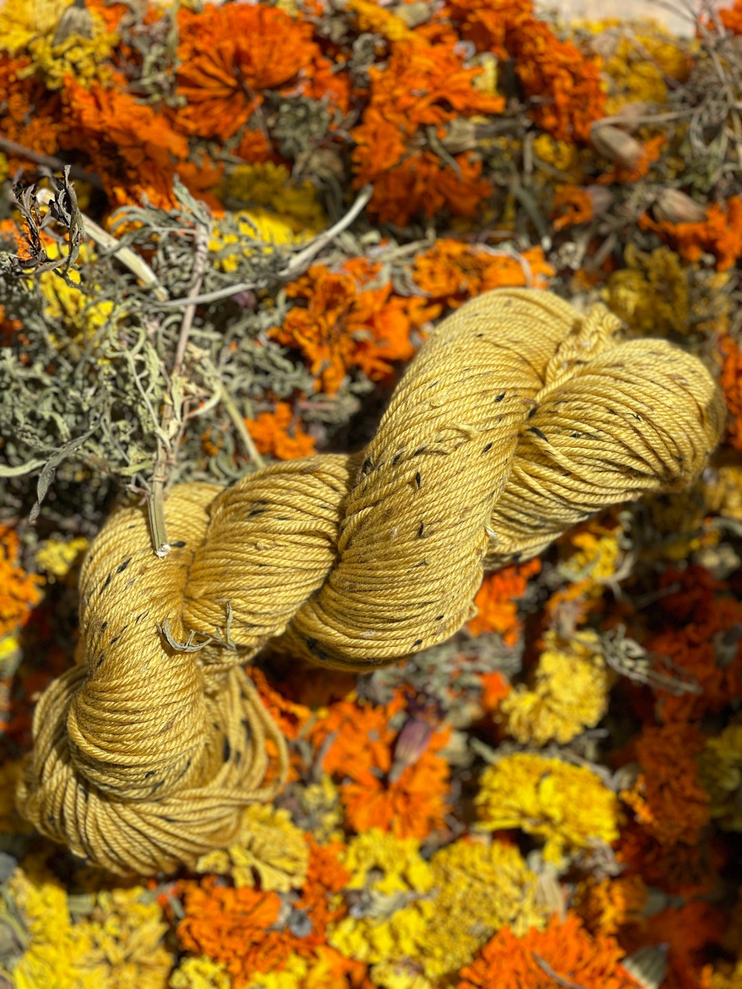DK Weight Donegal/nep Blended Wool Hand-dyed With Marigolds - Etsy