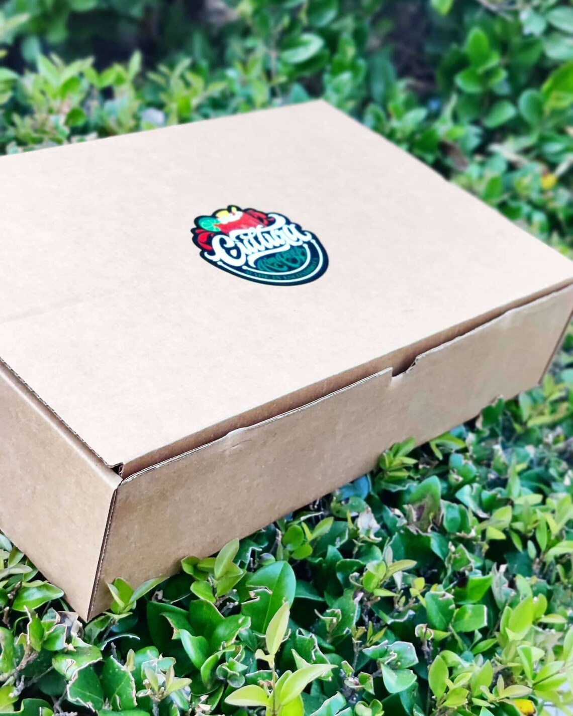 Cultura Michelada Kit - Etsy Canada