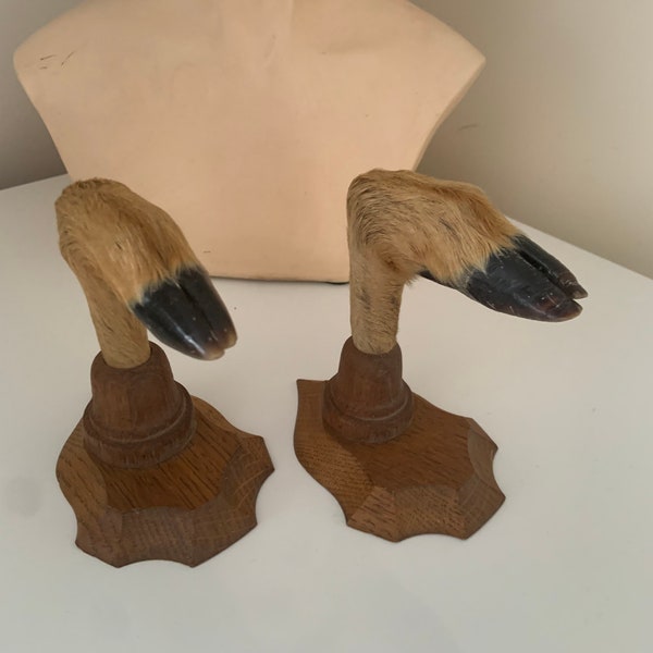 Deer Hooves - Etsy
