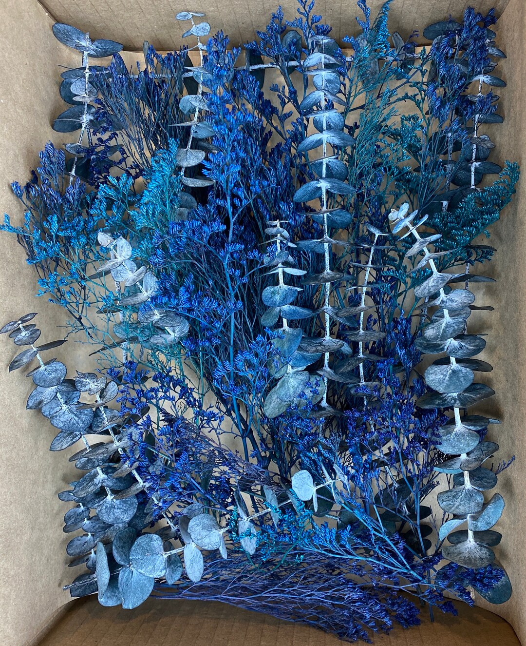 Blue Preserved Eucalyptus & Caspia: Dried Flower Craft Kit - Etsy