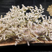 Dried German Statice Flowers: White Limonium Tataricum for Wedding ...