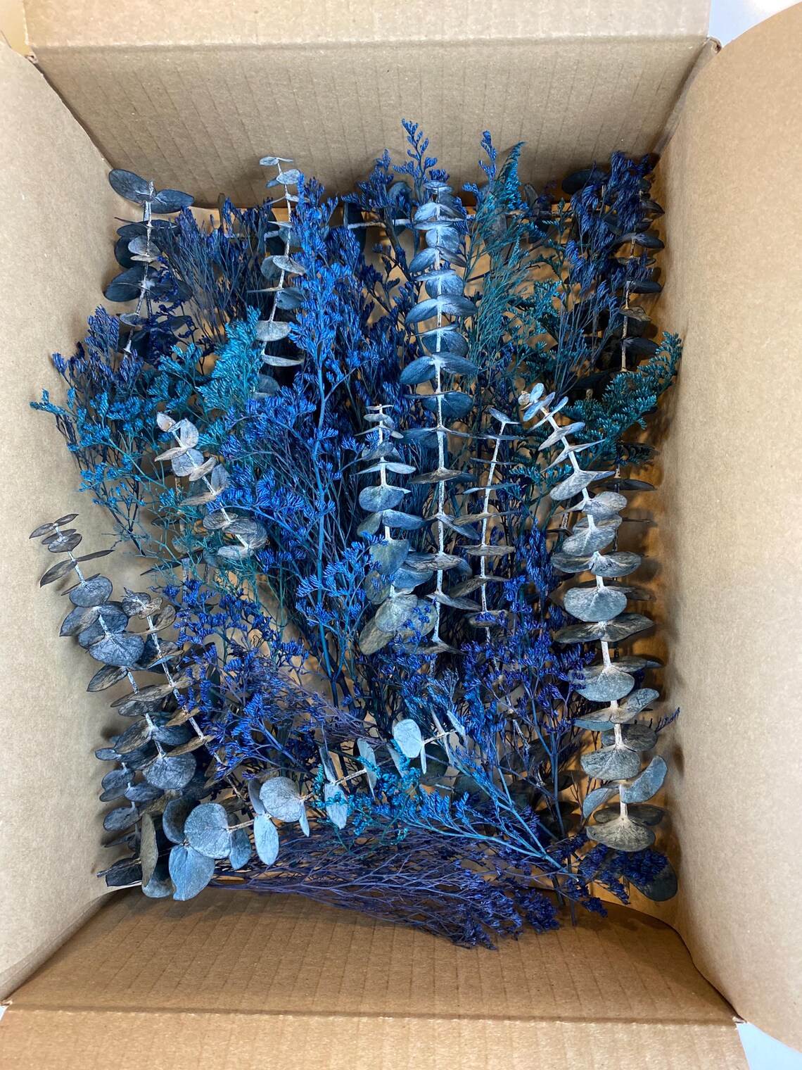 Blue Preserved Eucalyptus & Caspia: Dried Flower Craft Kit - Etsy