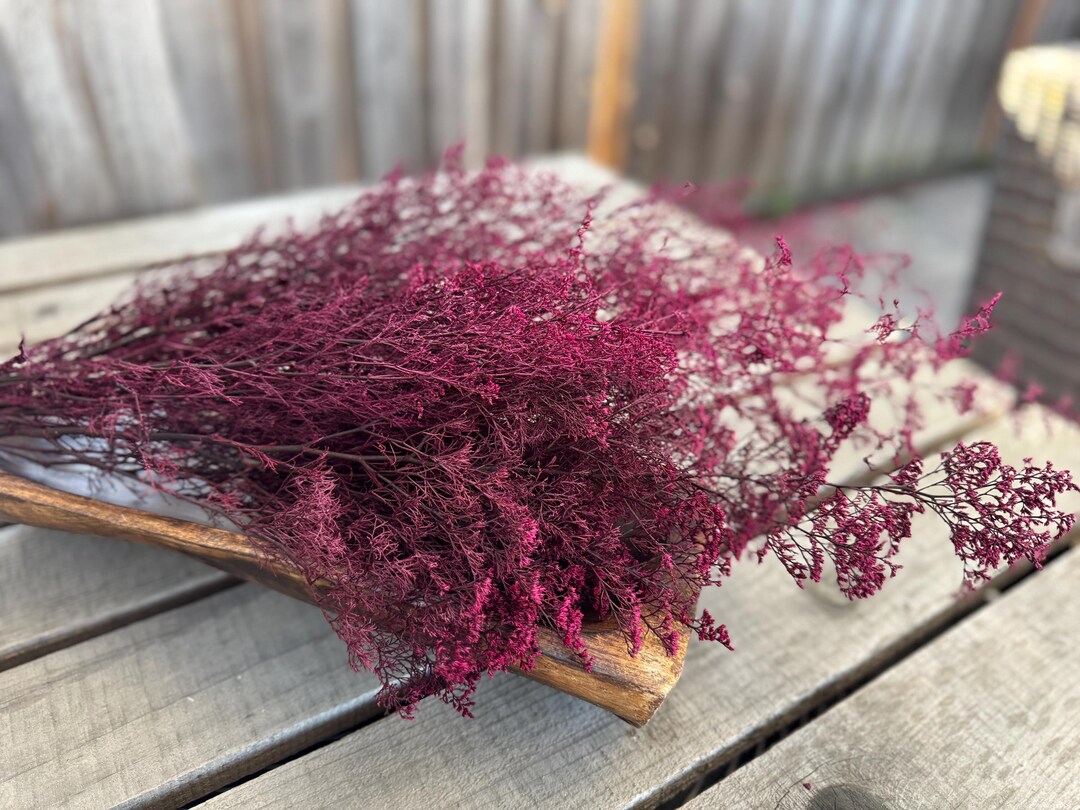 Burgundy Preserved Caspia, Dried Flowers for Bridal Bouquet, Boho ...
